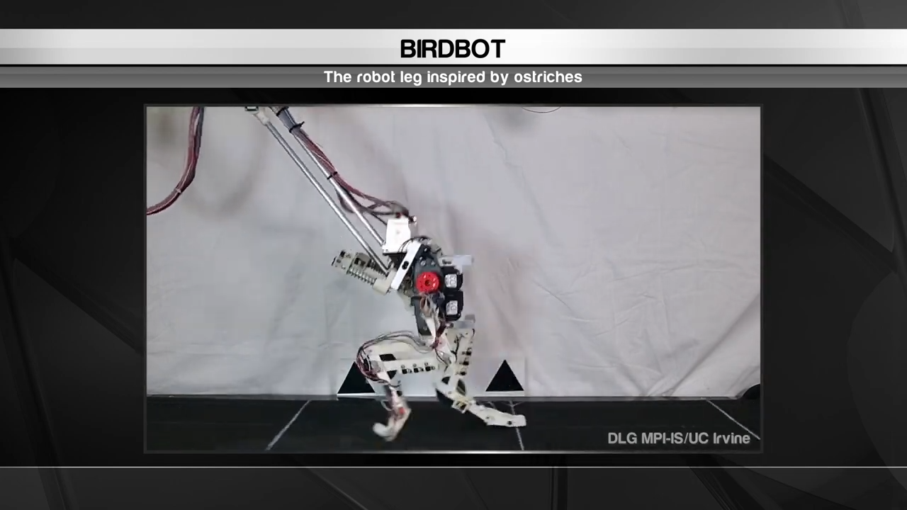 BirdBot, Earthquake Protection, and Microscopic Video Technology ...